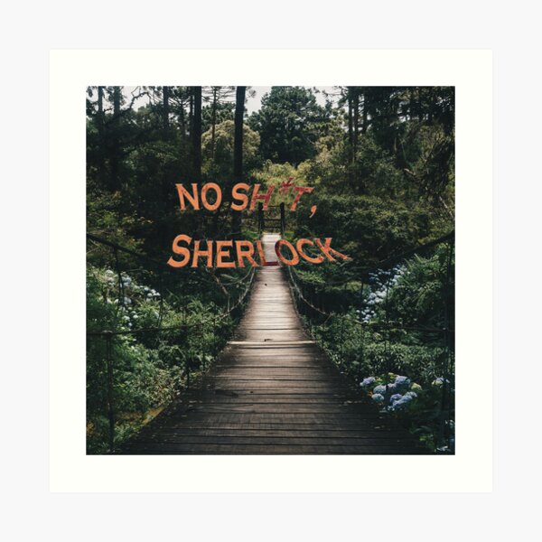 No Shit Sherlock Art Prints | Redbubble