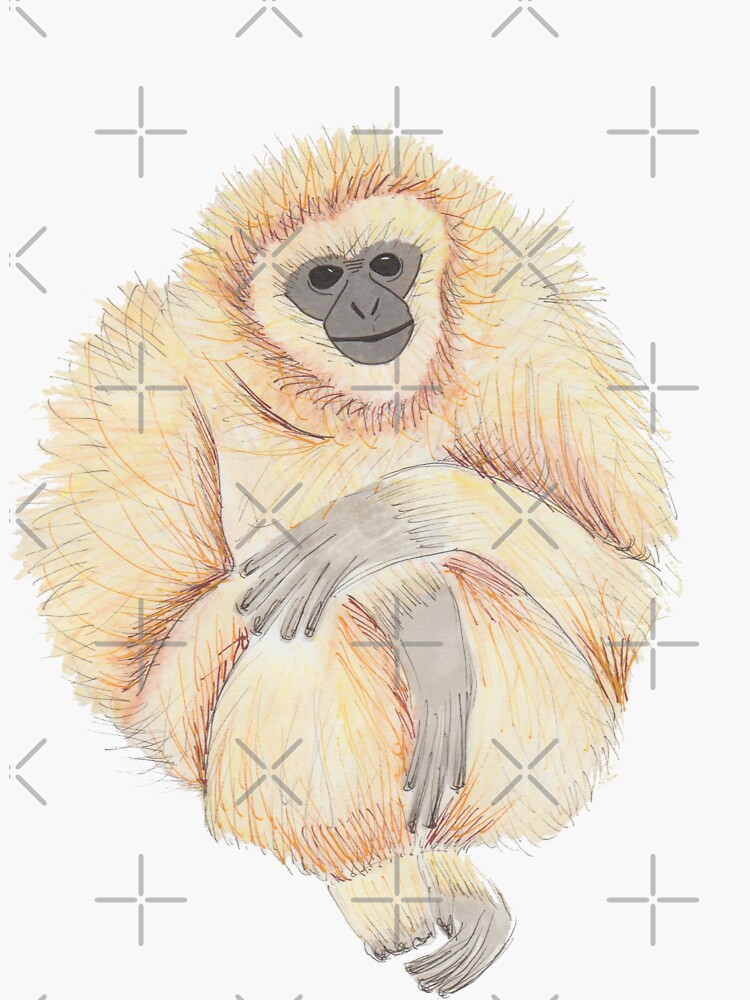 "Gibbon" Sticker for Sale by AliciaLaurenArt | Redbubble