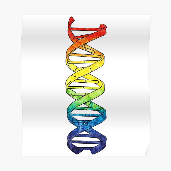 "Rainbow DNA scientific" Poster for Sale by labstud | Redbubble