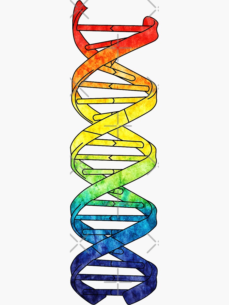 "Rainbow DNA scientific" Sticker for Sale by labstud | Redbubble