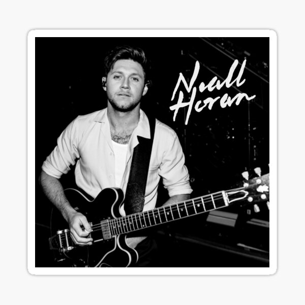 "niall" Sticker for Sale by iv37728 | Redbubble