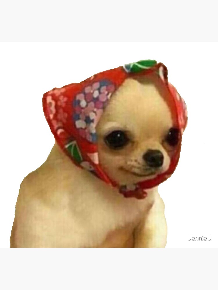 "babushka dog" Art Print for Sale by syracuse2 | Redbubble
