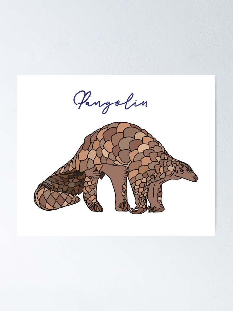 "Pangolin" Poster by Au-Lo-Art | Redbubble
