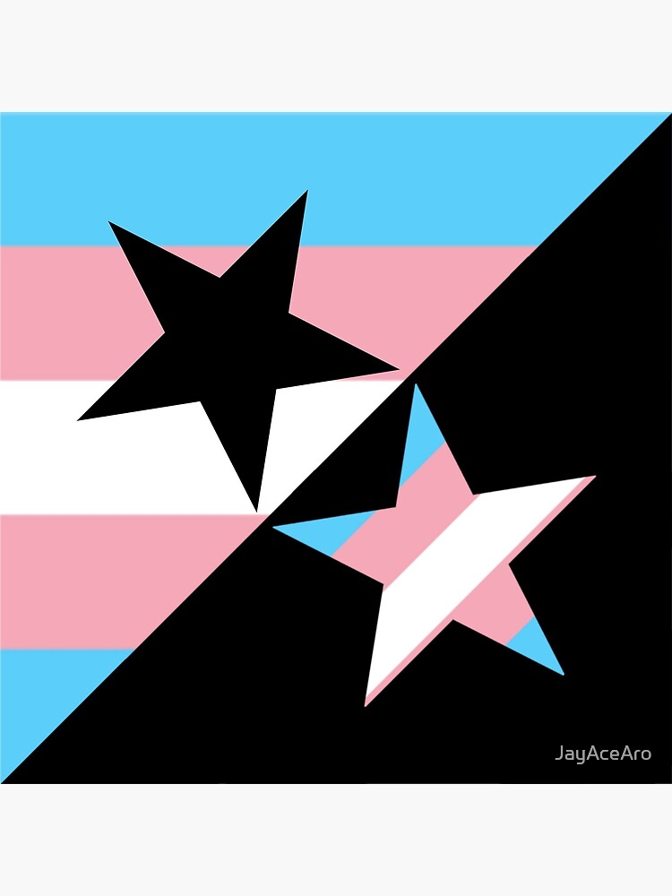 "Trans Anarchist (Tranarchist) Star Flag" Poster for Sale by JayAceAro ...