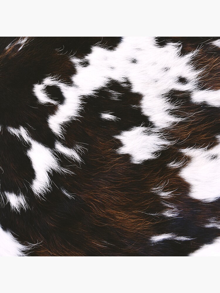 "Dark Brown Cow Print (photograph, print)" Sticker for Sale by cadinera ...