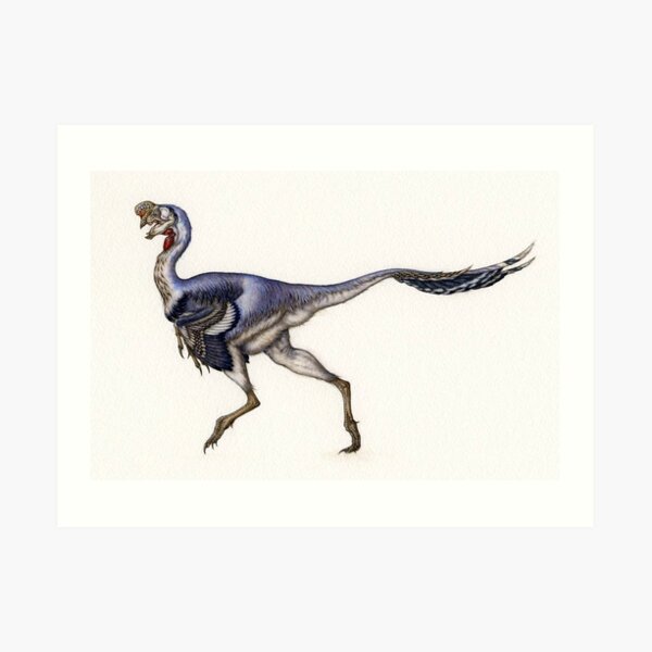 "Citipati" Art Print by Himmapaan | Redbubble