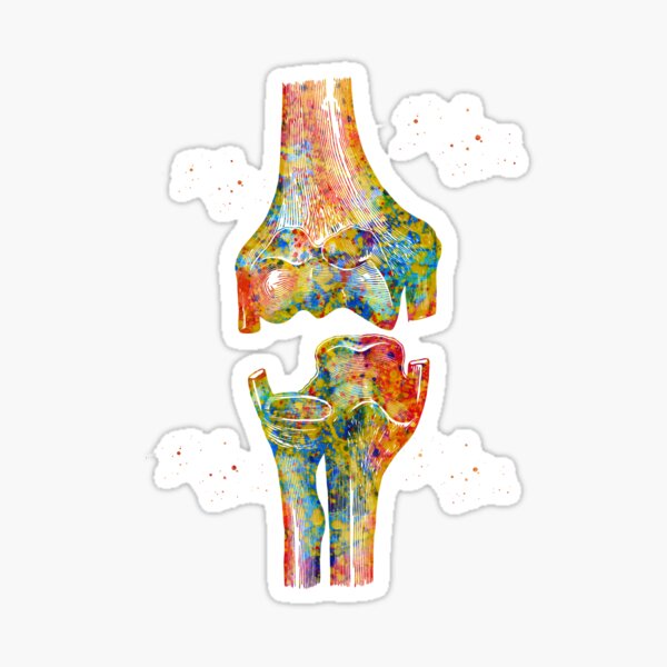 "Elbow" Sticker for Sale by erzebetth | Redbubble