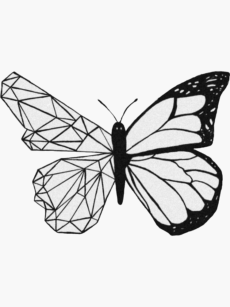 "Asymmetrical Butterfly Sketch" Sticker by AlexiaAnleu | Redbubble
