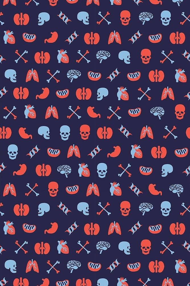 Anatomy Class By Eleanor Lutz Redbubble