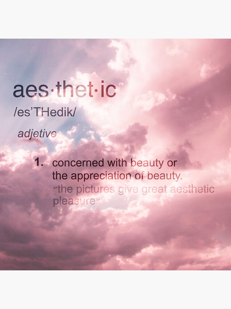 "Aesthetic Definition " Sticker for Sale by plantonime | Redbubble