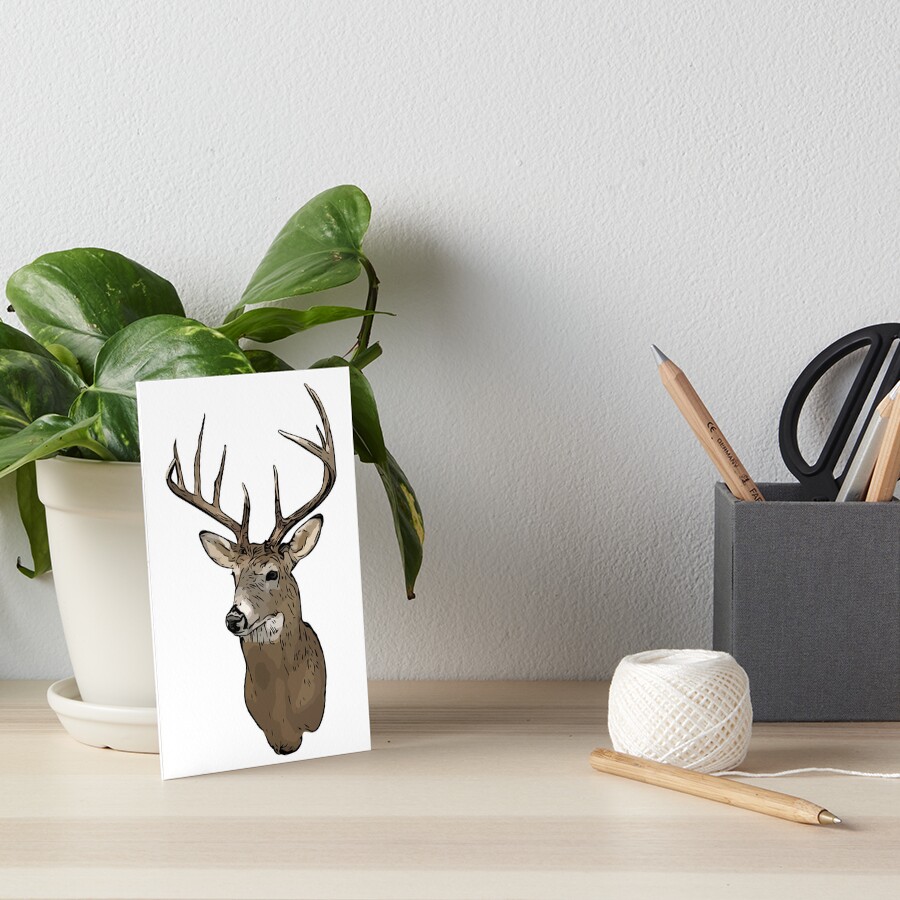 "Whitetail Big Buck Illustrated Deer Head Wall Mount " Art Board Print ...