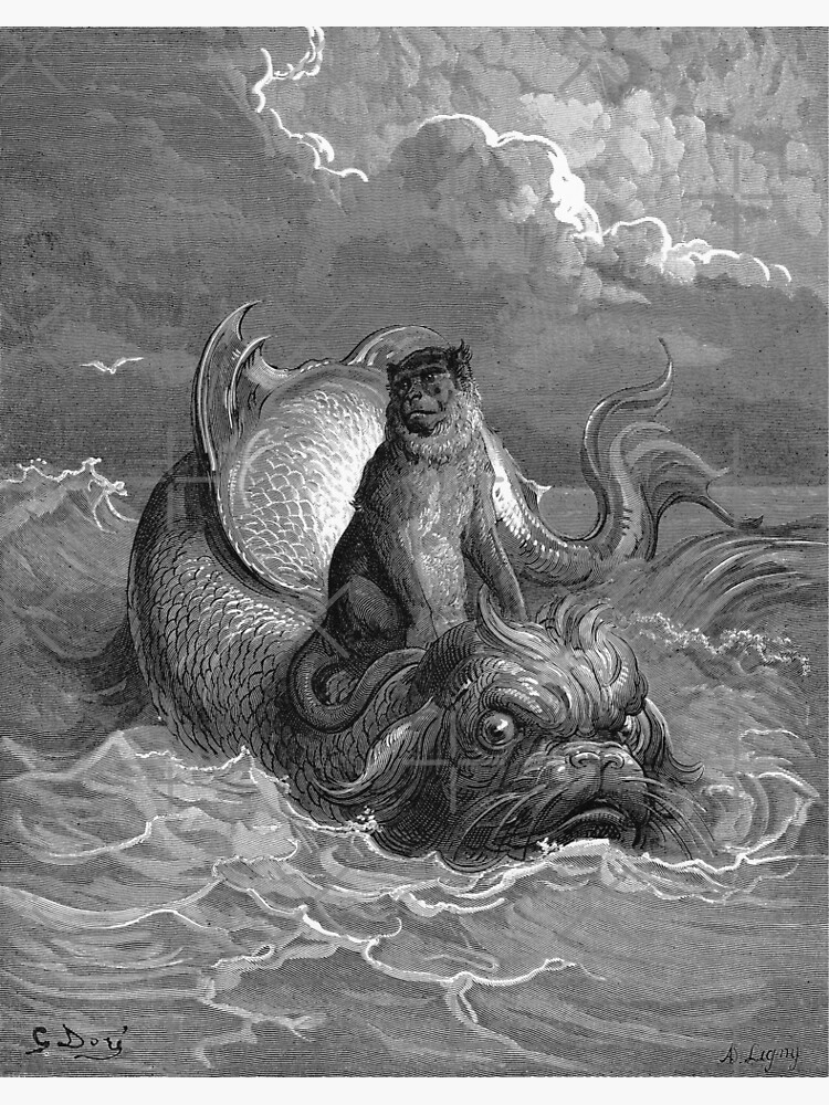 "The Monkey Rides The Dolphin" Poster for Sale by TheWhiteBear | Redbubble