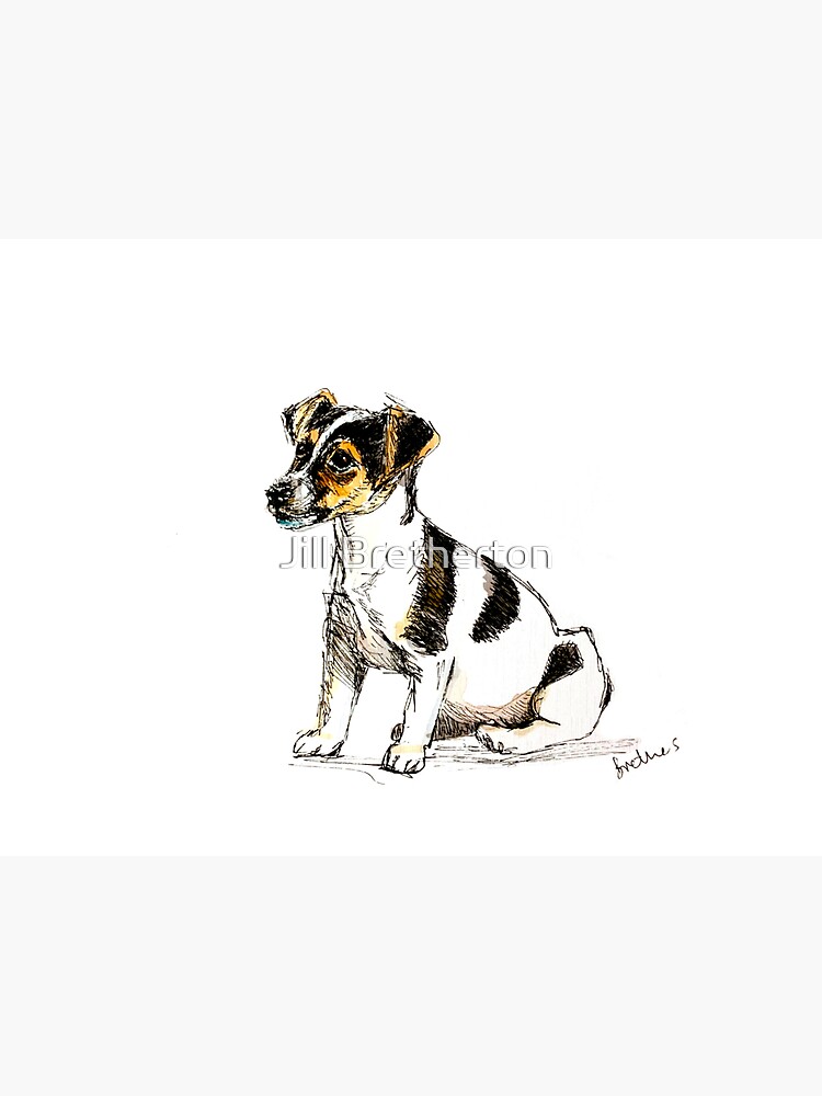 "Jack Russell ink and watercolour design by Jill Bretherton" Sticker by ...