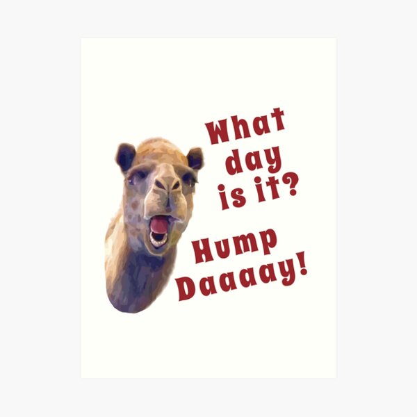 "Hump Day" Art Print by mightyawesome | Redbubble