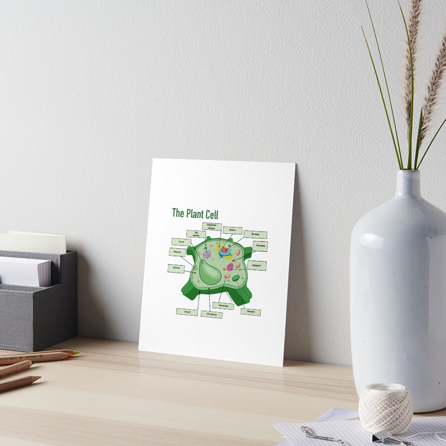 "The Plant Cell" Poster for Sale by Alawstrations | Redbubble