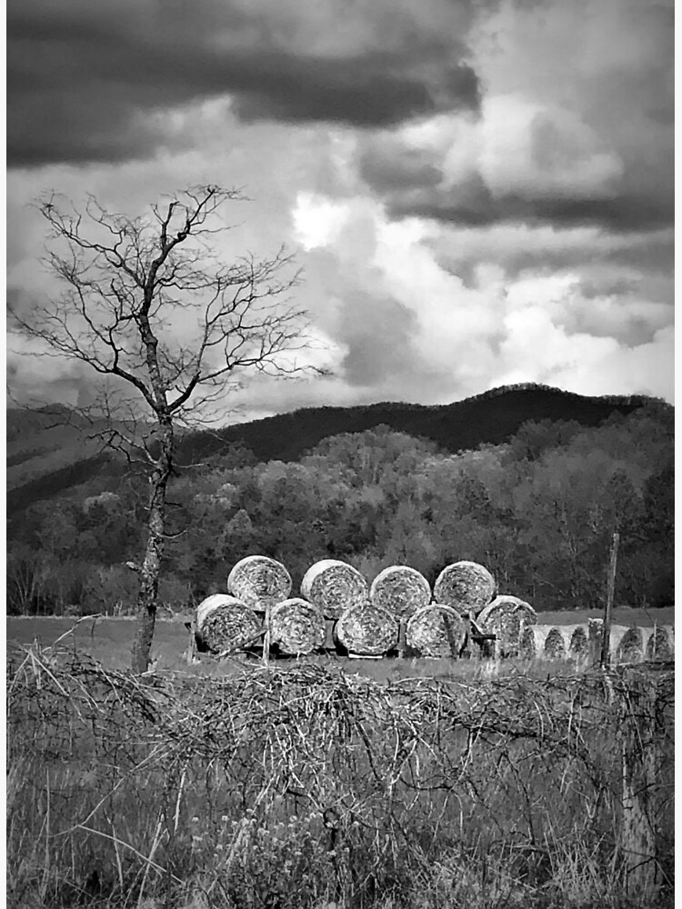 "Stacked Hay Bales" Sticker for Sale by lisalewis22 | Redbubble