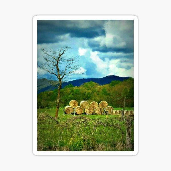 "Stacked Hay Bales 2" Sticker for Sale by lisalewis22 | Redbubble