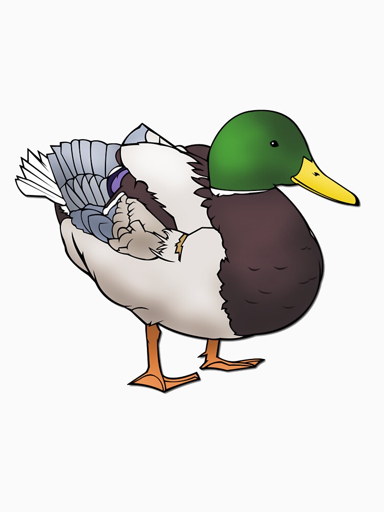 " M.r. Ducks" T-shirt by karimelbrig | Redbubble