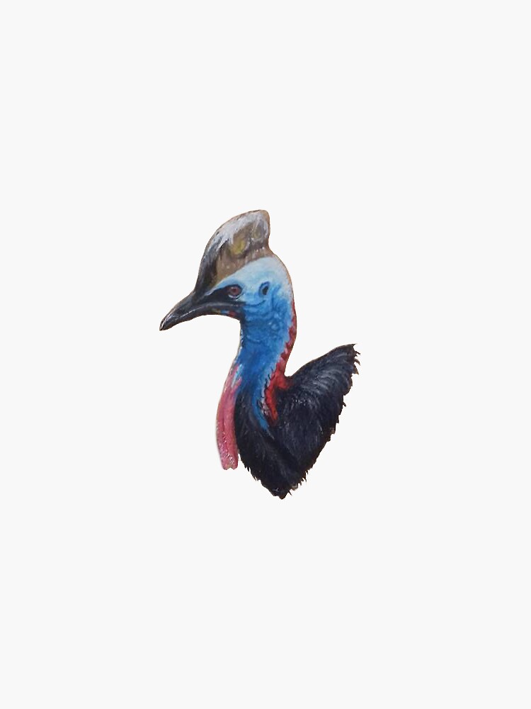 "Cassowary" Sticker for Sale by kc-art | Redbubble
