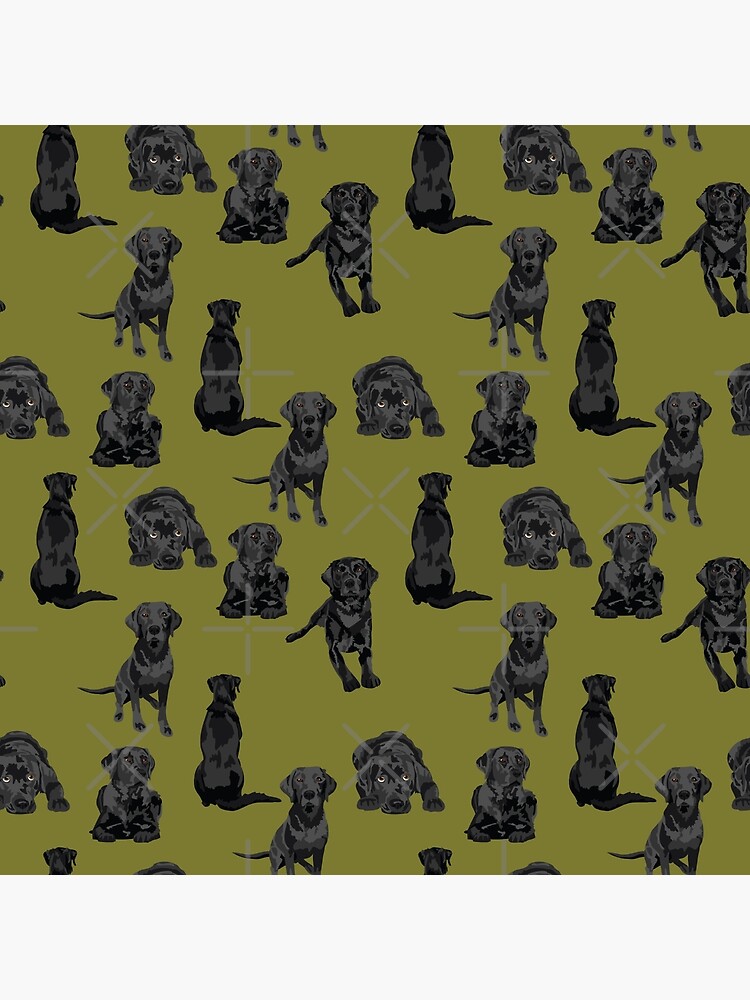 "Black Labrador " Poster by ArtofACoonhound | Redbubble