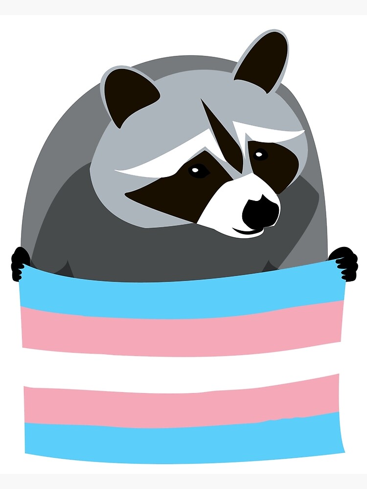 "Trans Pride Raccoon" Poster for Sale by SparkleDoe | Redbubble