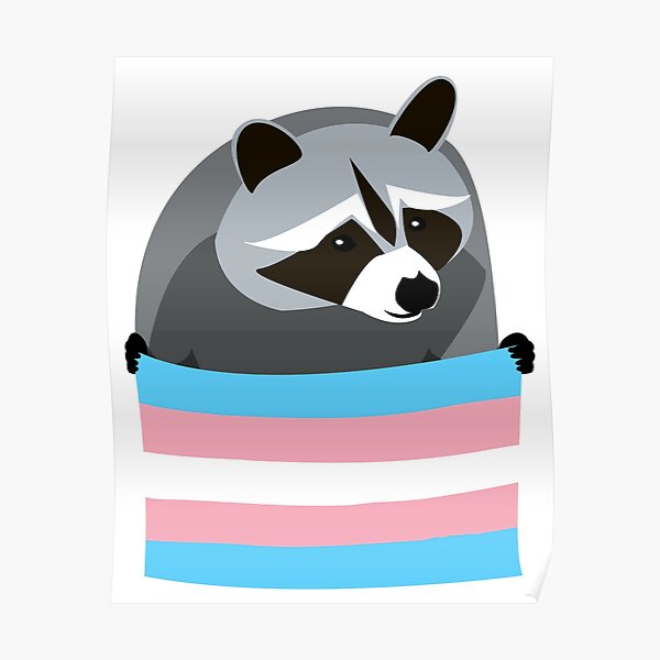 "Trans Pride Raccoon" Poster for Sale by SparkleDoe | Redbubble