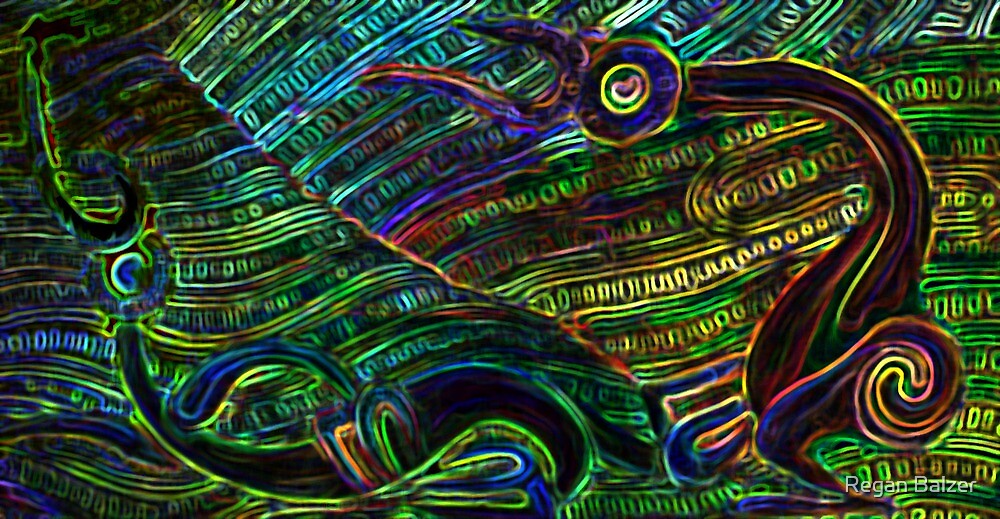 "Fight of the birds" by Regan Balzer | Redbubble