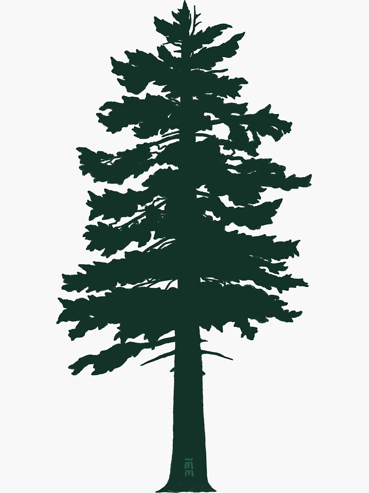 "Sitka Spruce Tree" Sticker by micahmiranda | Redbubble