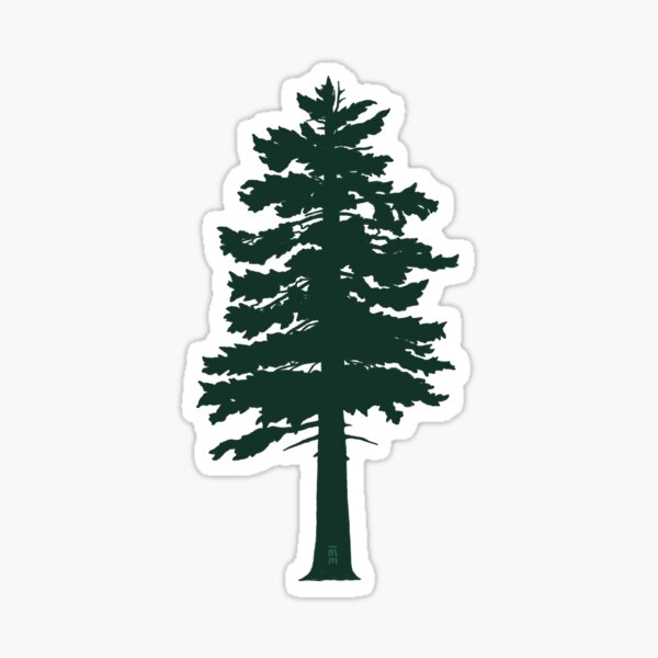 "Sitka Spruce Tree" Sticker by micahmiranda | Redbubble