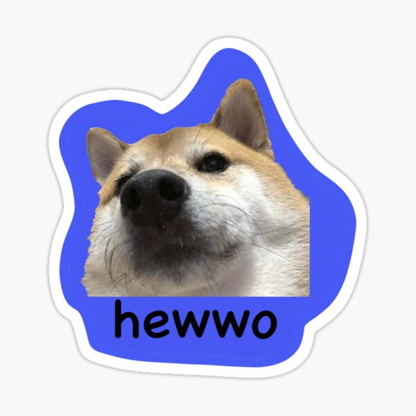 "shiba hewwo" Sticker for Sale by maddyalarcon | Redbubble