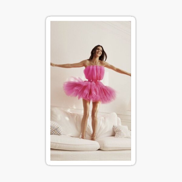 "Kendall Jenner Pink Dress" Sticker for Sale by rileigh-pederse | Redbubble