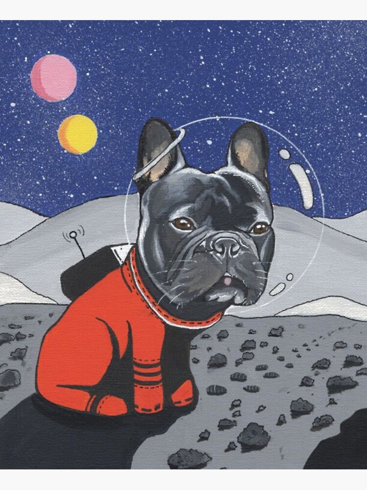 "flown" Sticker by KOSTYAN6891 | Redbubble