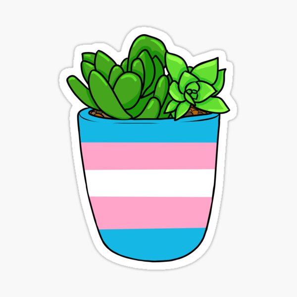 "Trans Pride Plant - Succulent" Sticker for Sale by IggyScones | Redbubble