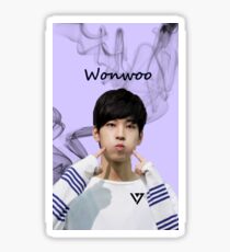 Wonwoo: Stickers | Redbubble