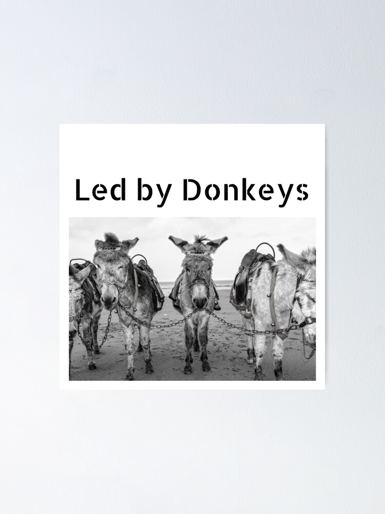 "Led by Donkeys " Poster by Jack-James | Redbubble