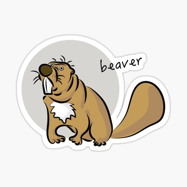 "beaver" Sticker by kimtangdesign | Redbubble