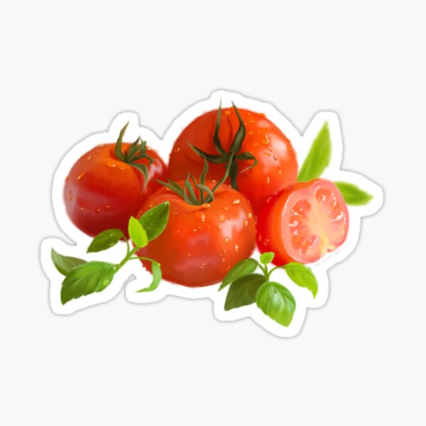"Jersey Tomatoes and Basil" Sticker for Sale by sagepalmer | Redbubble