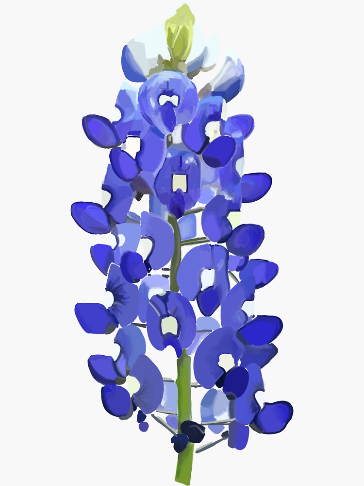"Bluebonnet" Sticker for Sale by ccvarela | Redbubble