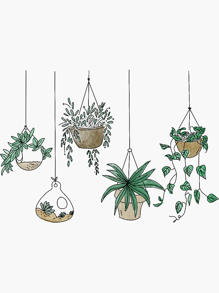 "Hanging plants " Sticker for Sale by cydneyabel | Redbubble