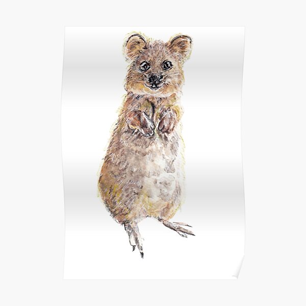 "Quokka" Poster by Sweetmims | Redbubble