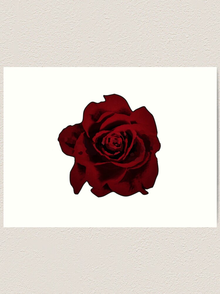 "Chase Atlantic Rose White" Art Print for Sale by xSMxSerena | Redbubble