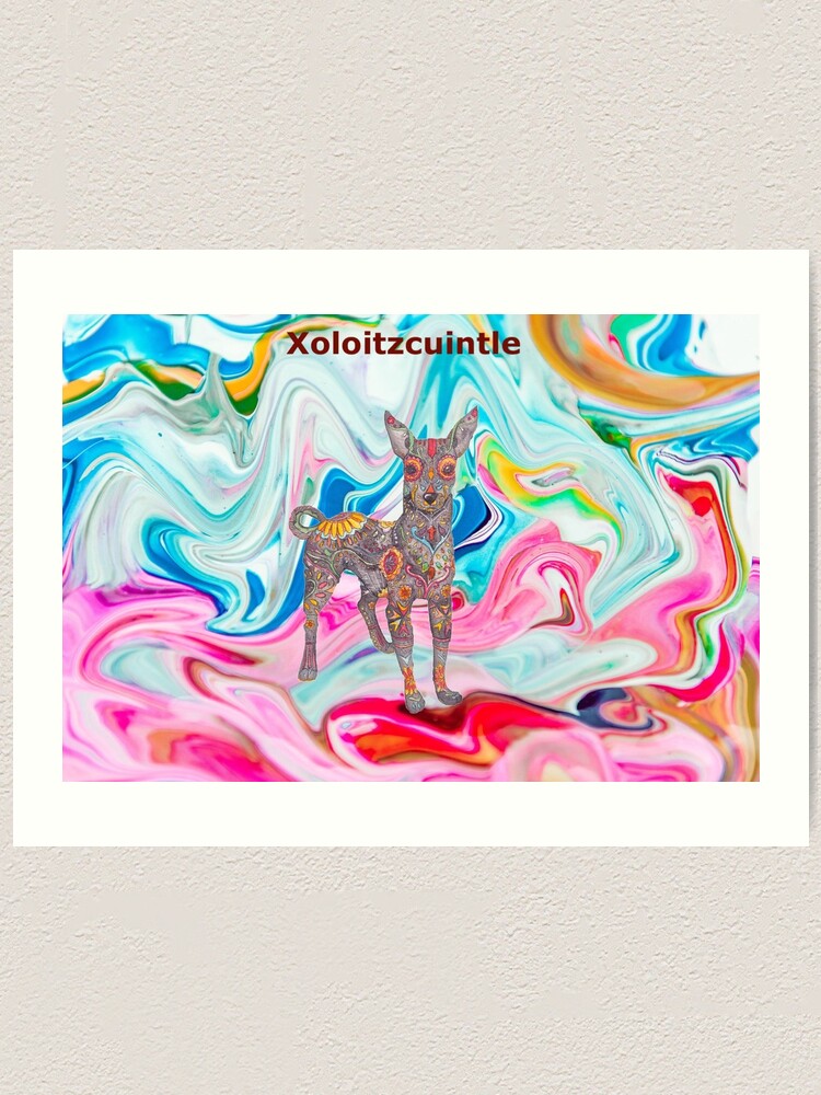 "Xolo drawing" Art Print for Sale by Xolo-Rescue | Redbubble