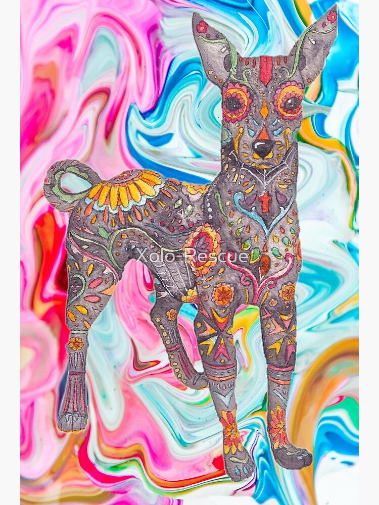 "Colourful xolo" Art Print for Sale by Xolo-Rescue | Redbubble