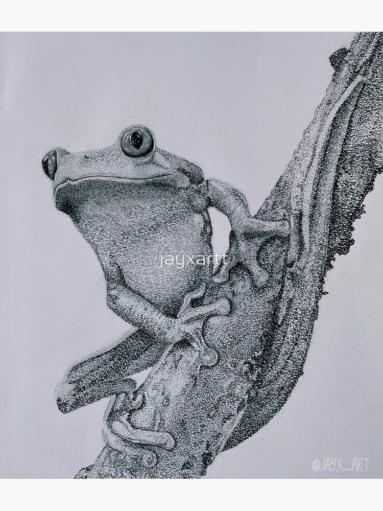 "Frog Drawing (Pointillism)" Art Print by jayxartt | Redbubble