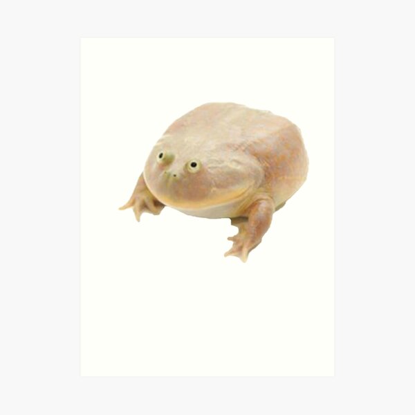 "Fat Frog Meme" Art Print for Sale by Bl10728 | Redbubble