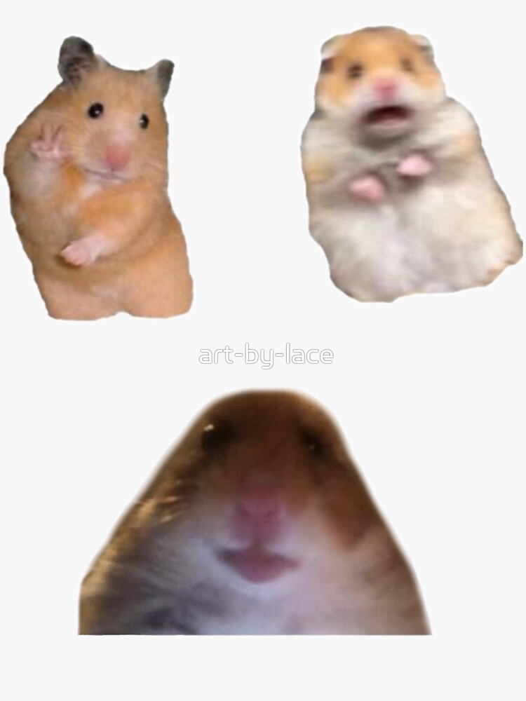 "Hamster memes" Sticker for Sale by art-by-lace | Redbubble