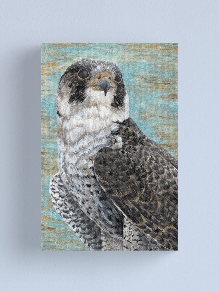 "The Guardian - Peregrine Falcon" Canvas Print for Sale by MandalaSoul ...