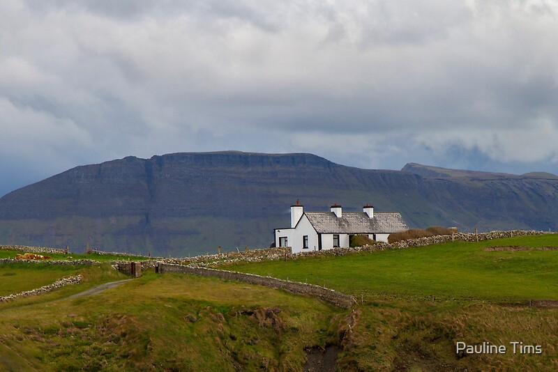 "Cottage on the cliff top Mullaghmore Ireland" by Pauline Tims | Redbubble