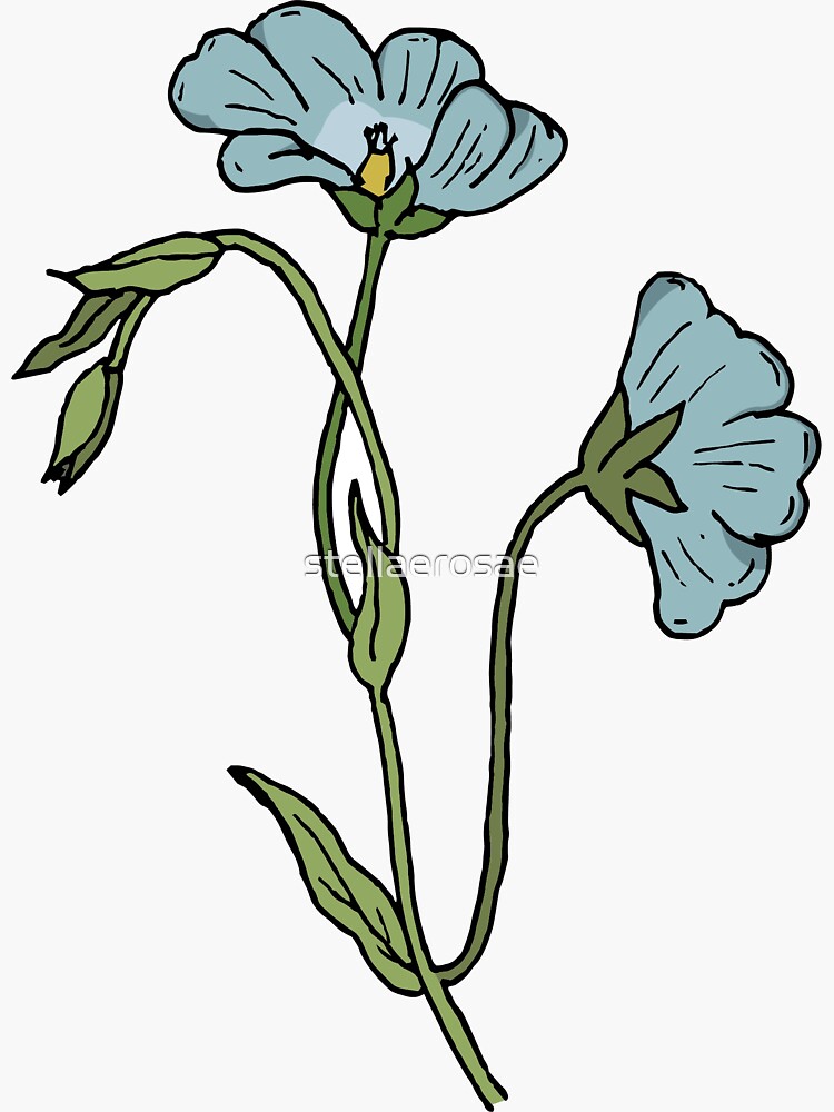"Flax Flower Drawn Botanical Drawing" Sticker by stellaerosae | Redbubble
