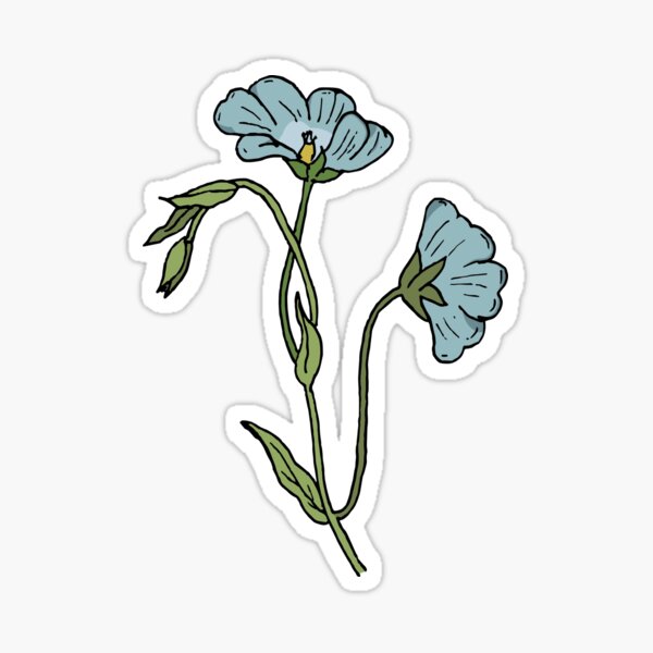 "Flax Flower Drawn Botanical Drawing" Sticker by stellaerosae | Redbubble